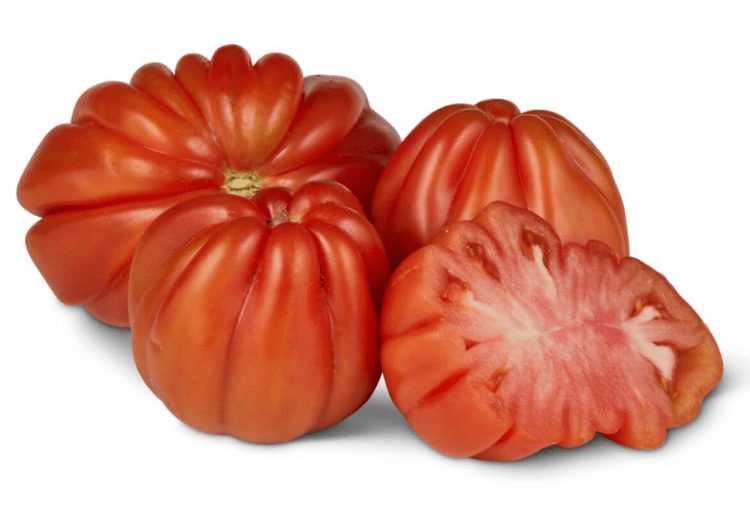 What are the best Italian tomatoes: here are all the varieties to try ...