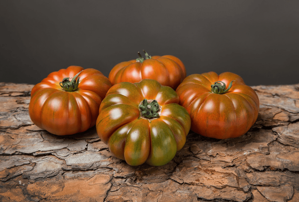 What are the best Italian tomatoes: here are all the varieties to try ...